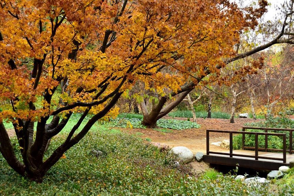 17 Awesome Things to Do in LA This Fall 2017 - The LA Girl