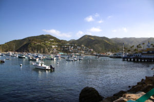 The Ultimate Catalina Island Getaway Travel Guide - The LA Girl