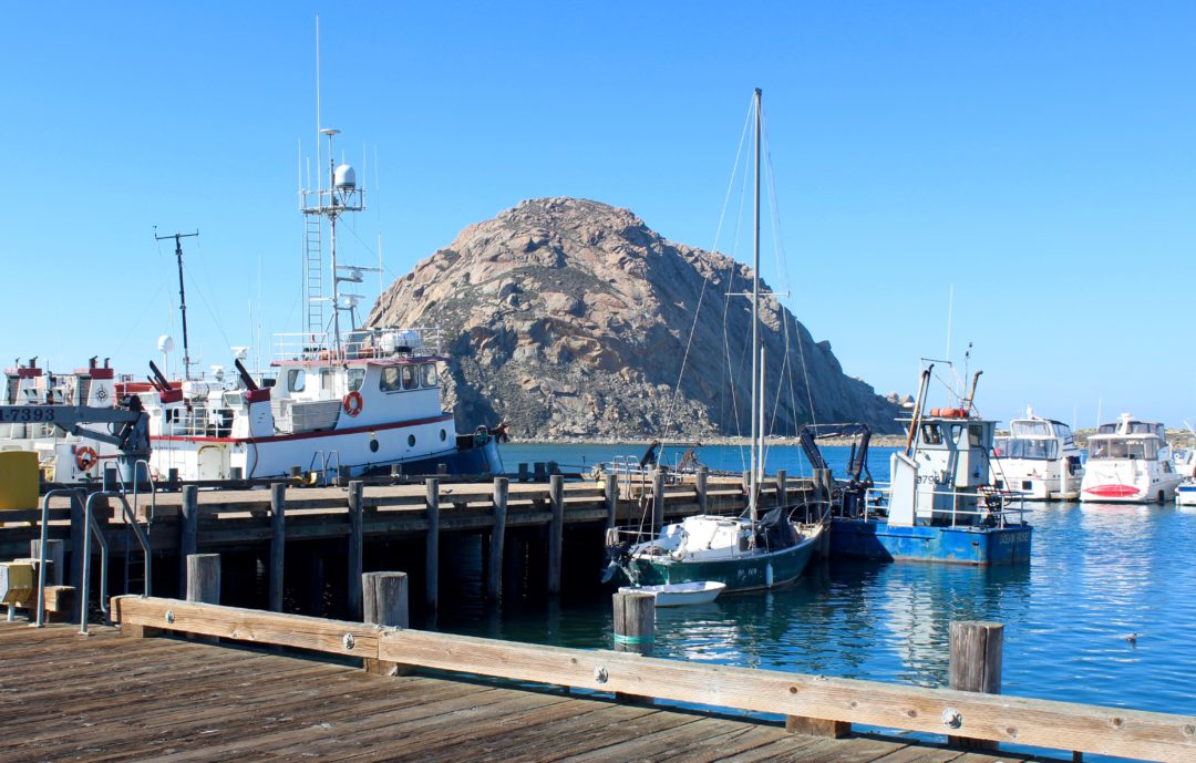 8 Must-Visit Beach Piers Around Los Angeles - The LA Girl