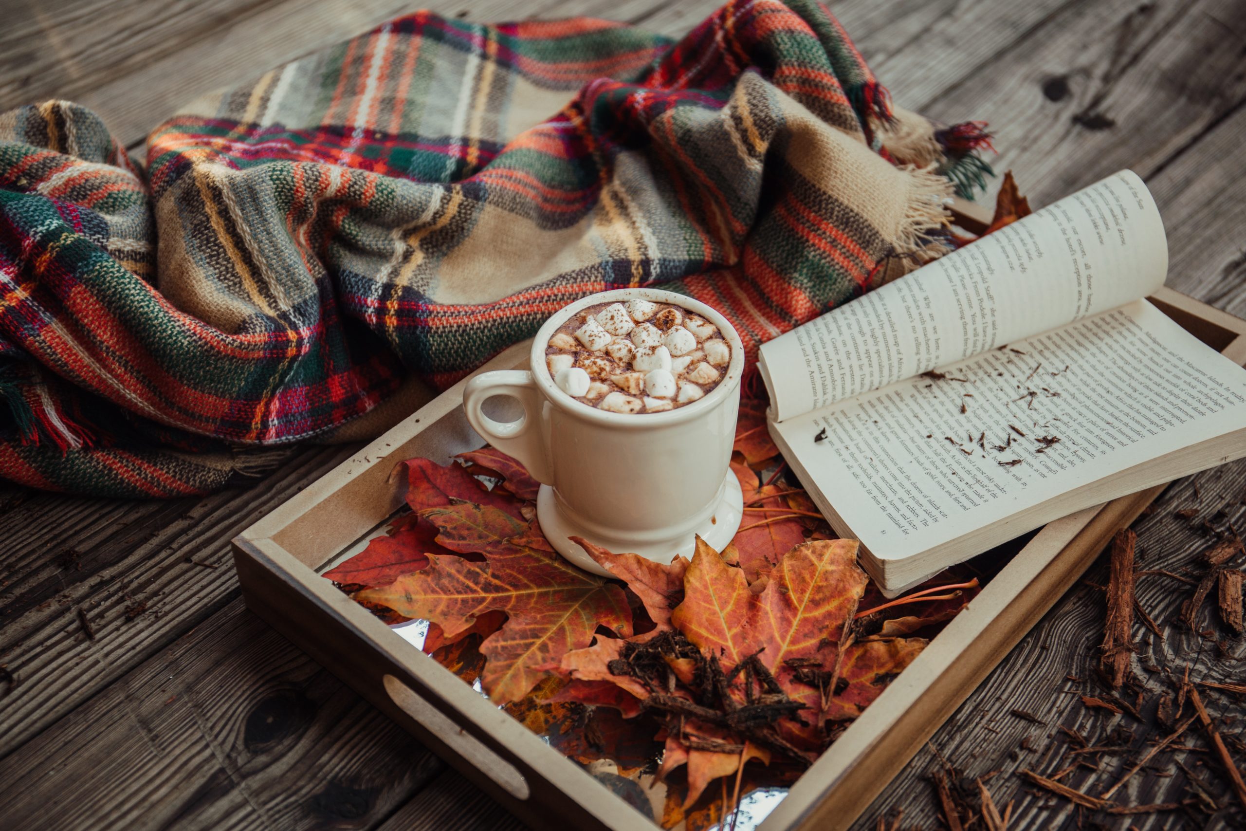 The 8 Best Pumpkin-Spiced Lattes This Fall in LA - The LA Girl