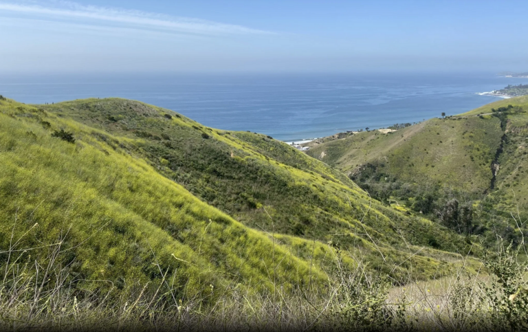 The 10 Most Stunning Ocean View Hikes To Take in LA - The LA Girl