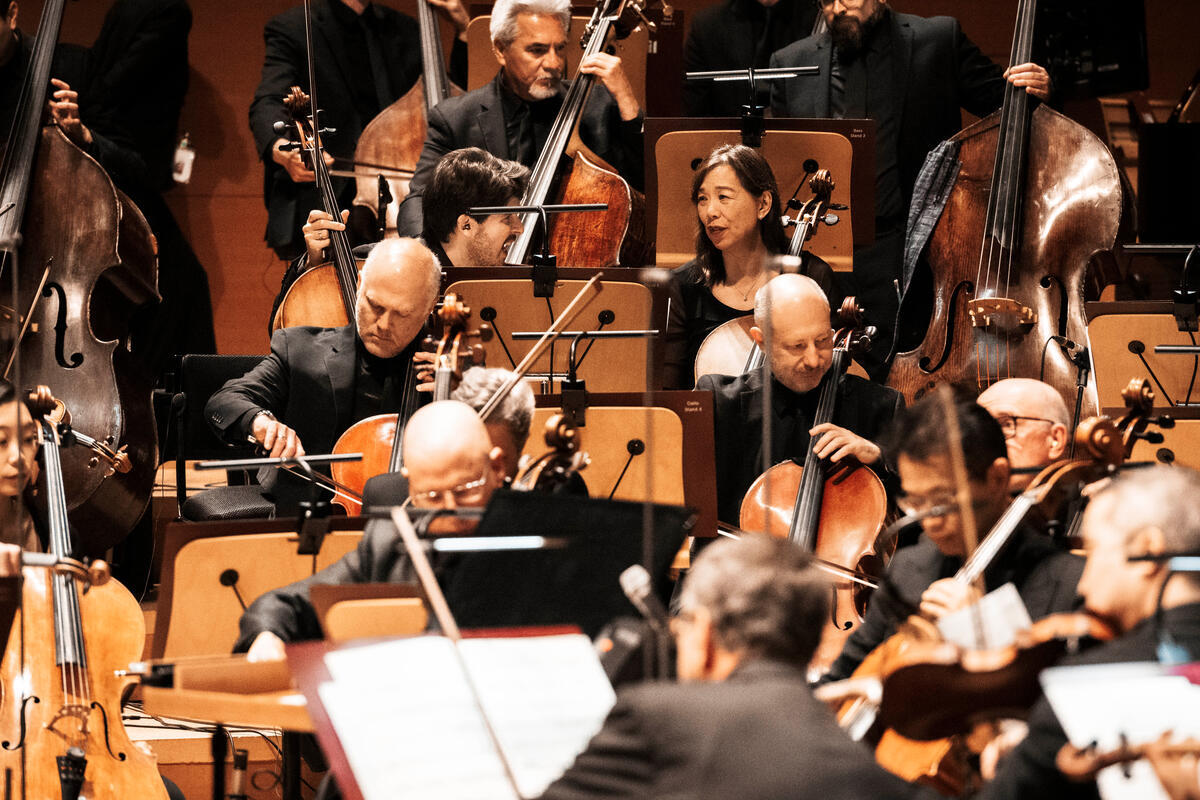 Everything To Know About the LA Phil - The LA Girl