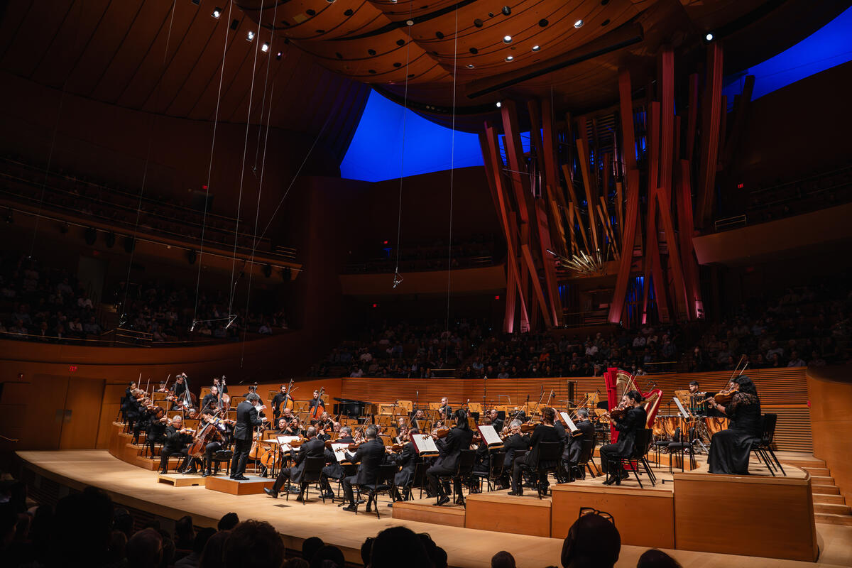 Everything To Know About the LA Phil - The LA Girl